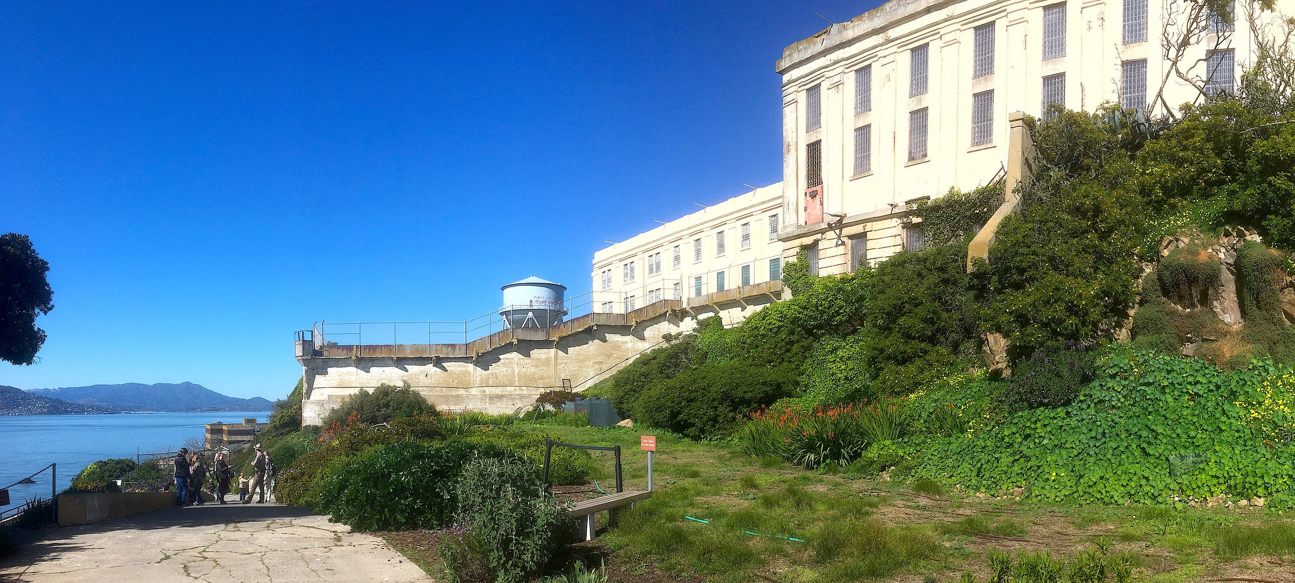 On Alcatraz — Really — You’ll Find Local Nature Like No Other