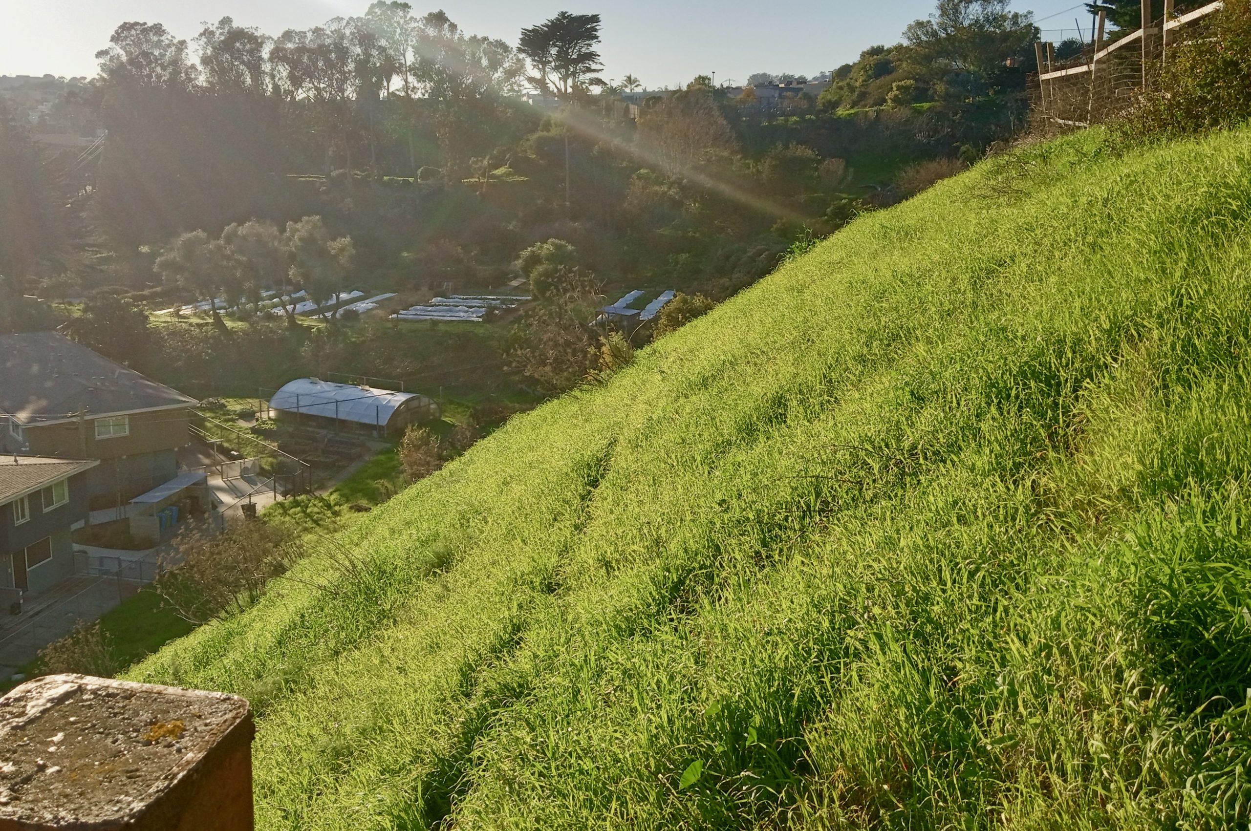 What a Steep Bernal Heights Hillside Says About SF's State of Housing